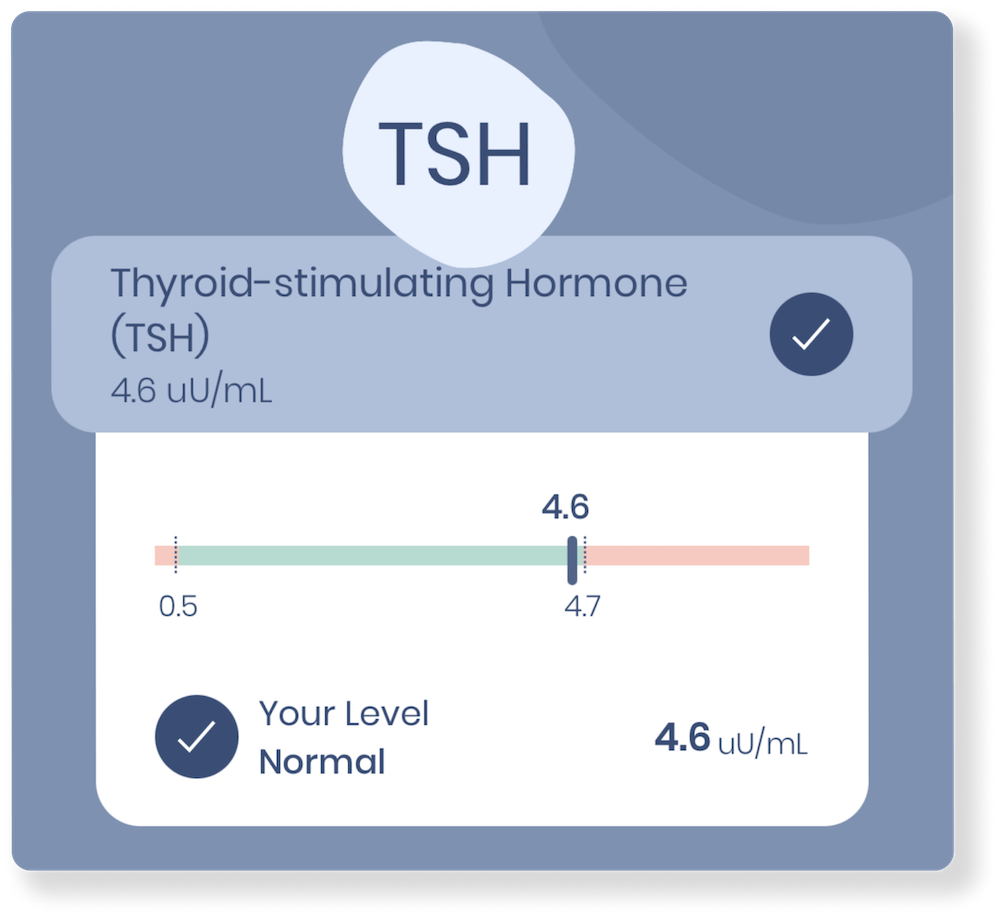 The best health app for Hypothyroidism | Paloma Health